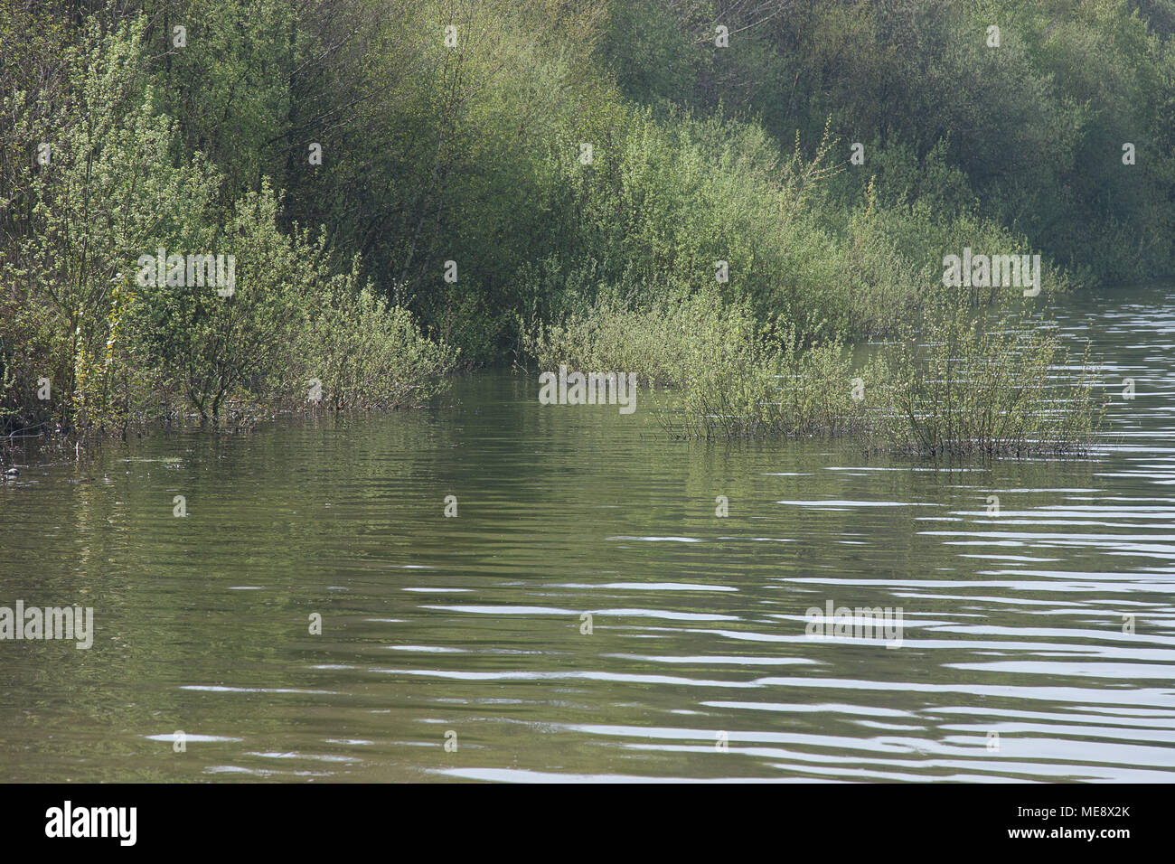 Bewl water full hi-res stock photography and images - Alamy