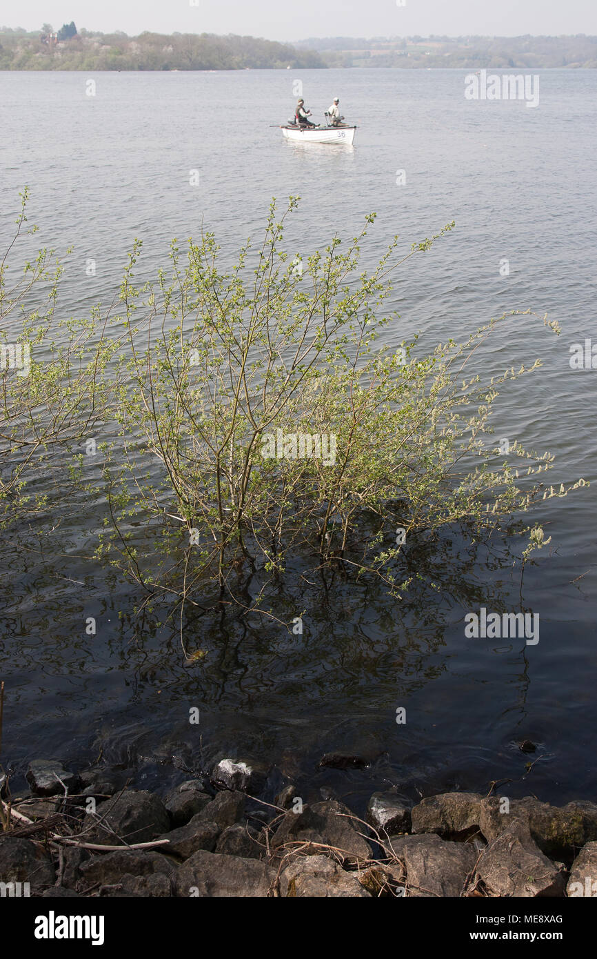 Bewl water full hi-res stock photography and images - Alamy