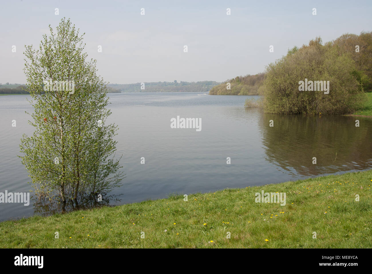 Bewl water full hi-res stock photography and images - Alamy