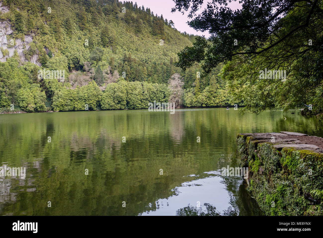 Unique to western portugal hi-res stock photography and images - Alamy