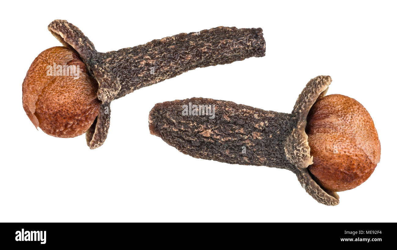 Two beautiful fragrant cloves in close-up. Syzygium aromaticum. Dried ...