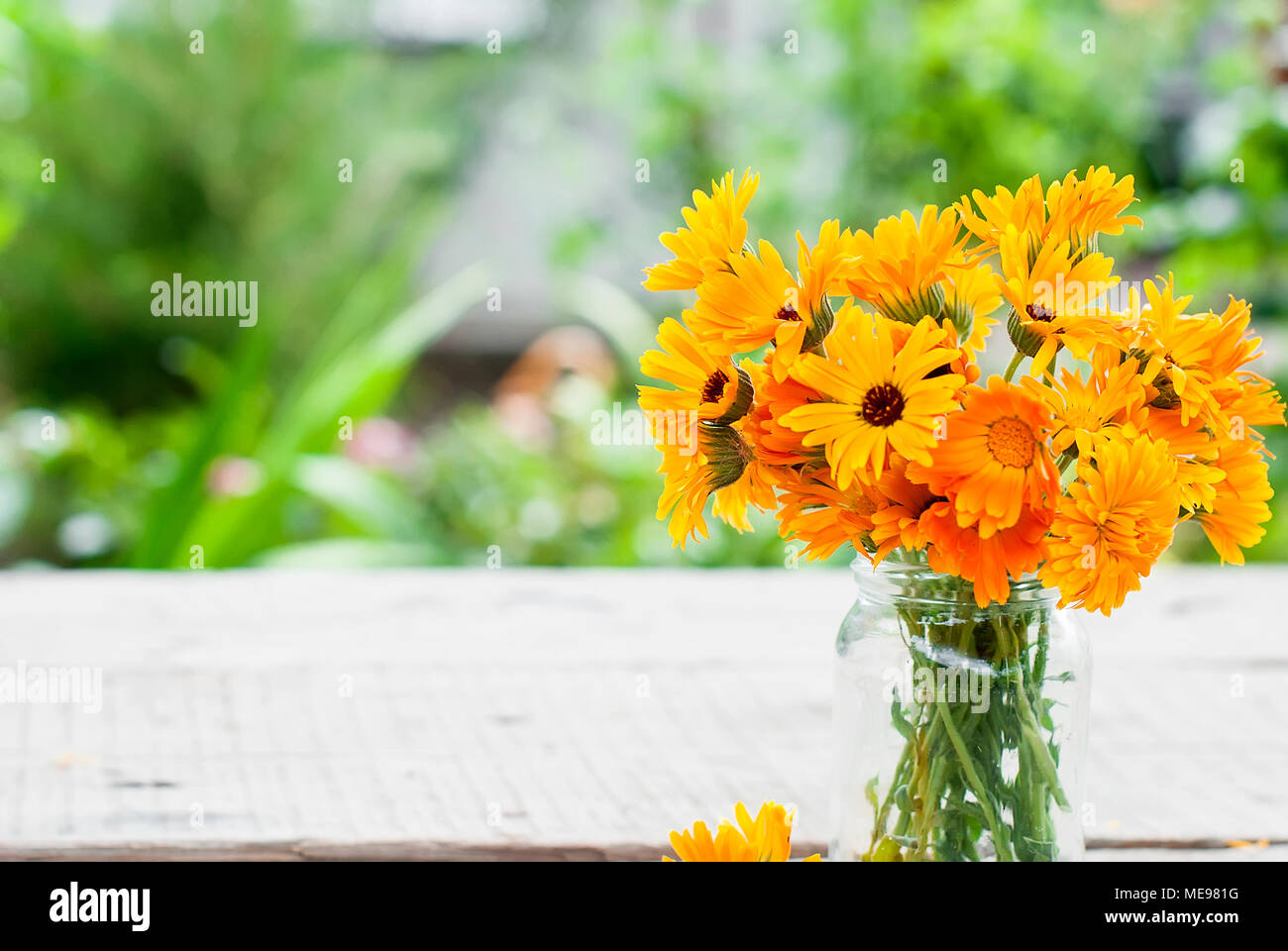 bouquet healing herbs. Orange flower of calendula in glass jar on ...