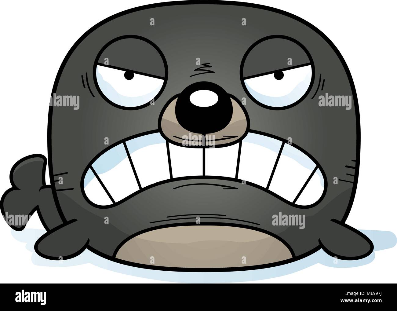 Angry seal hi-res stock photography and images - Alamy