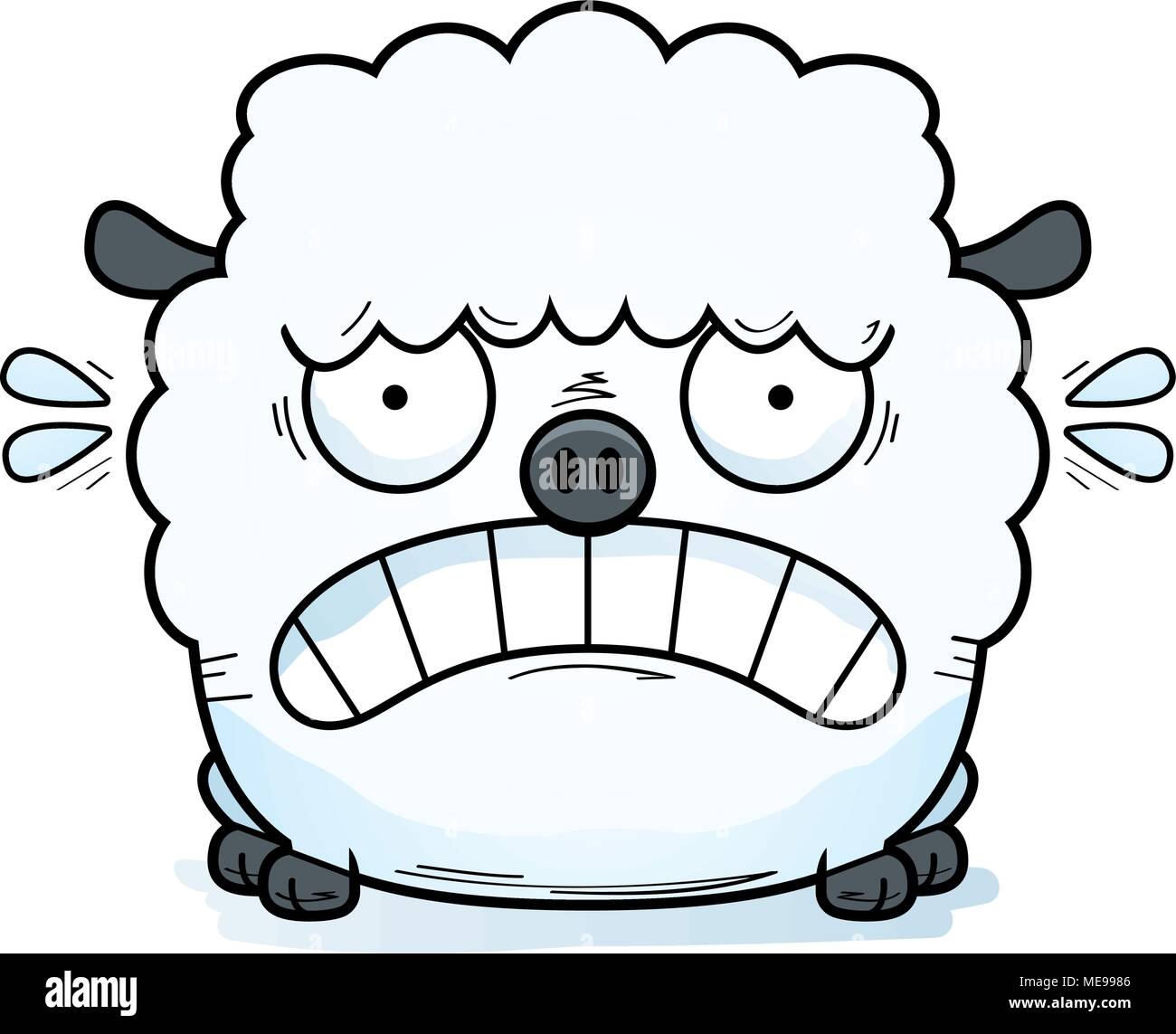 Frightened sheep hi-res stock photography and images - Alamy