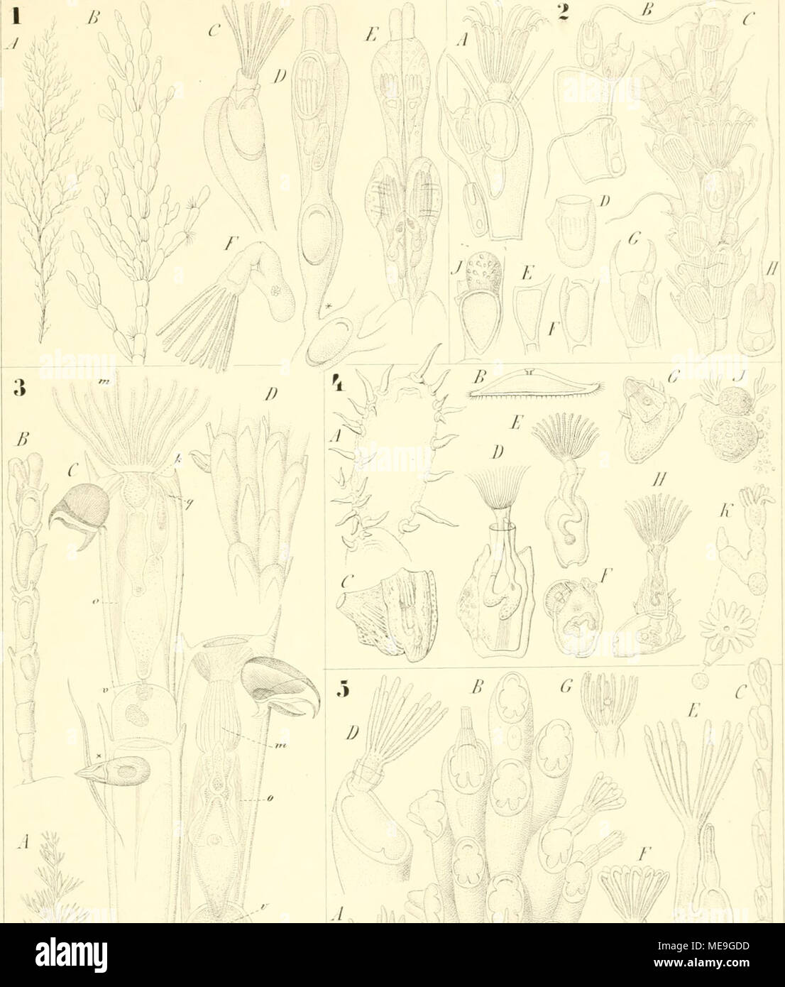 Cnrl hi-res stock photography and images - Alamy