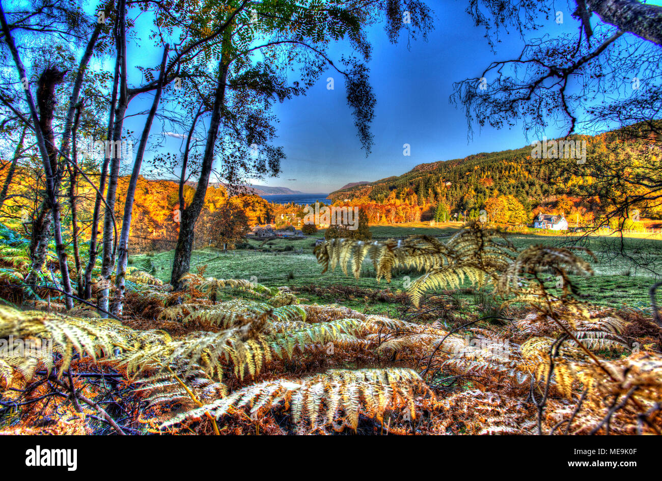 Loch Ness, Scotland. Artistic autumnal view from a Forest, above the ...