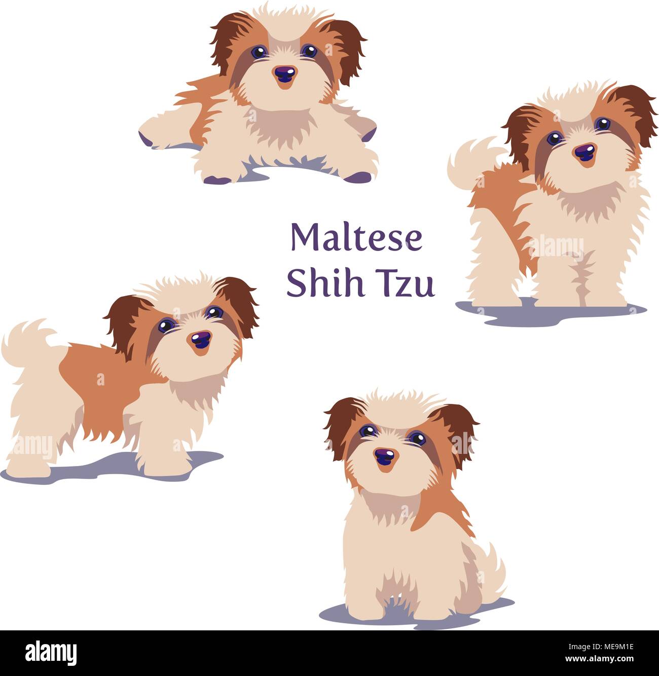 Maltese Dog Cartoon Illustration High Resolution Stock Photography and ...