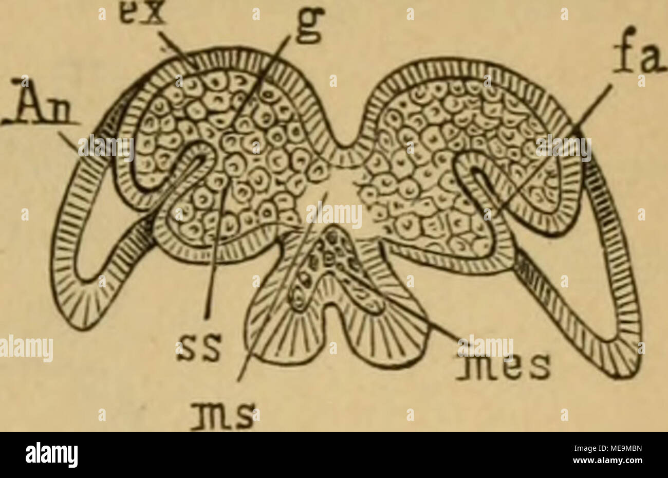 Tuat hi-res stock photography and images - Alamy
