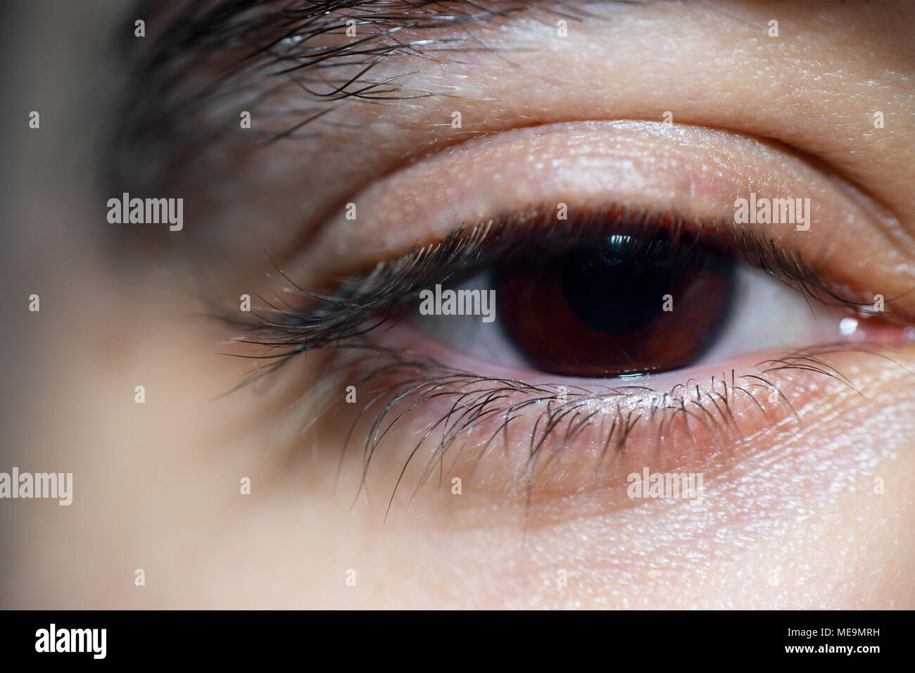 Close-Up Of Beautiful Brown Male Eye With Long Eyelashes Stock Photo ...