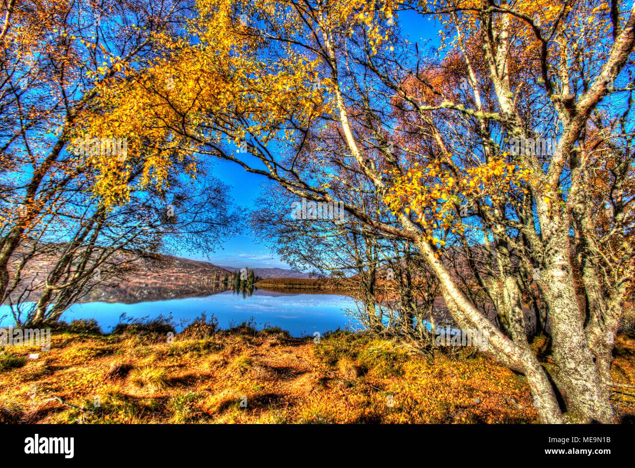 Area of Loch Ness, Scotland. Artistic autumnal view of Loch Tarff Stock ...