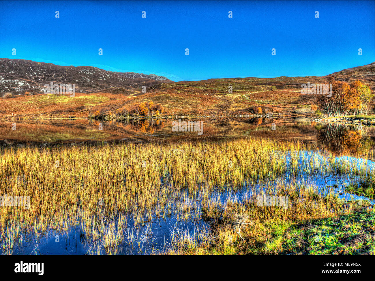 Area of Loch Ness, Scotland. Artistic autumnal view of Loch Tarff Stock ...