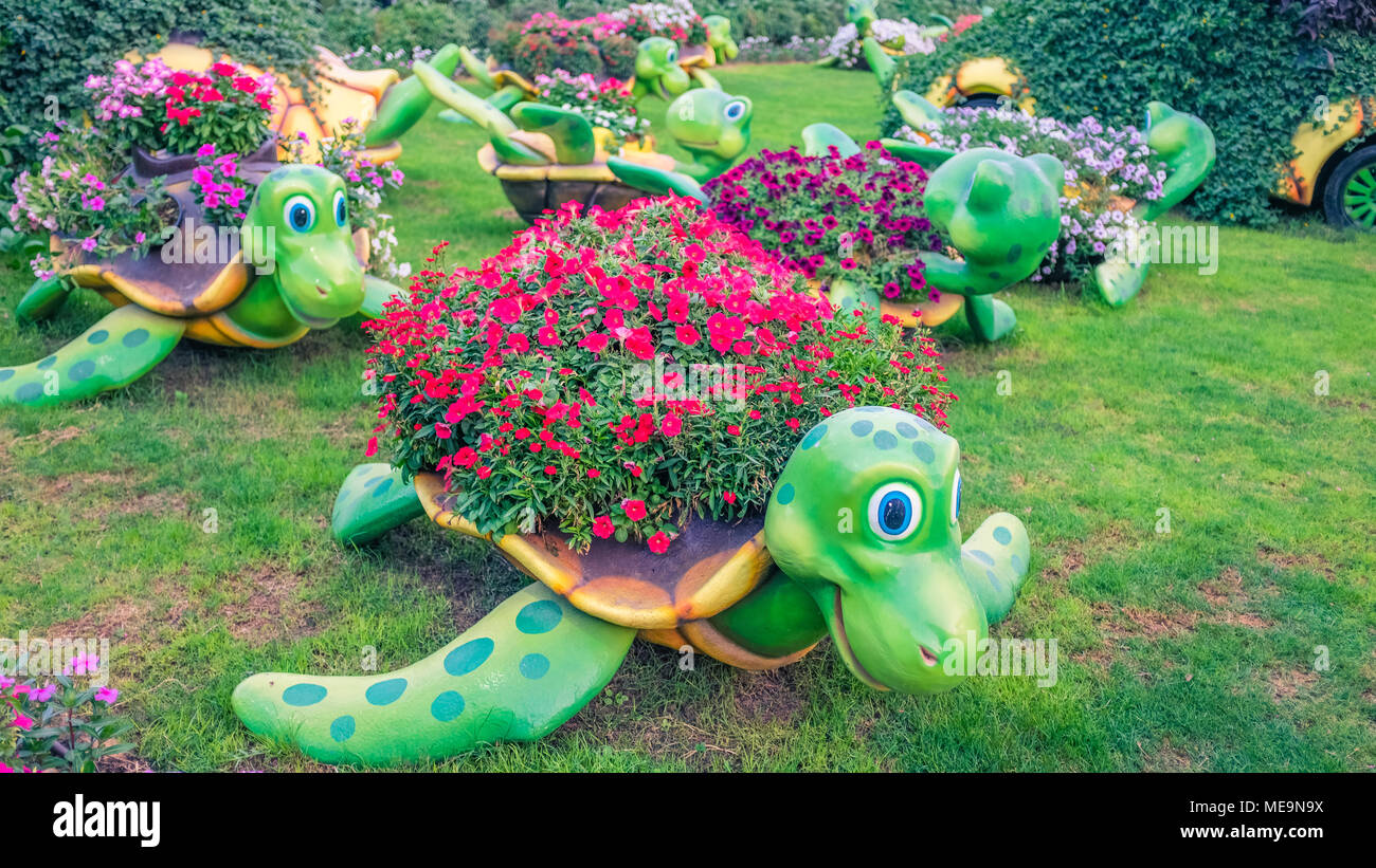 Baby turtles covered with flowers walking in garden Stock Photo - Alamy