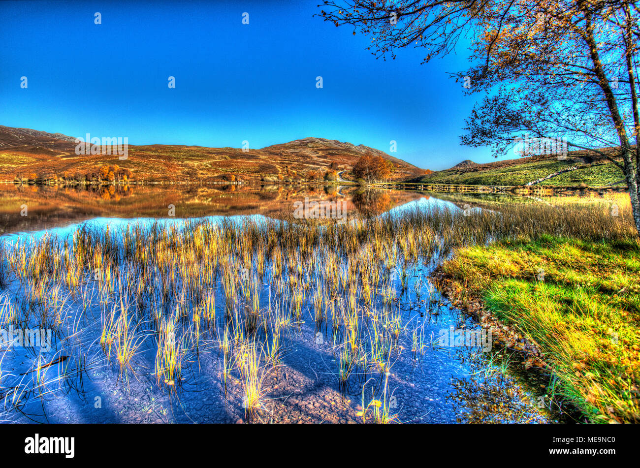 Area of Loch Ness, Scotland. Artistic autumnal view of Loch Tarff Stock ...