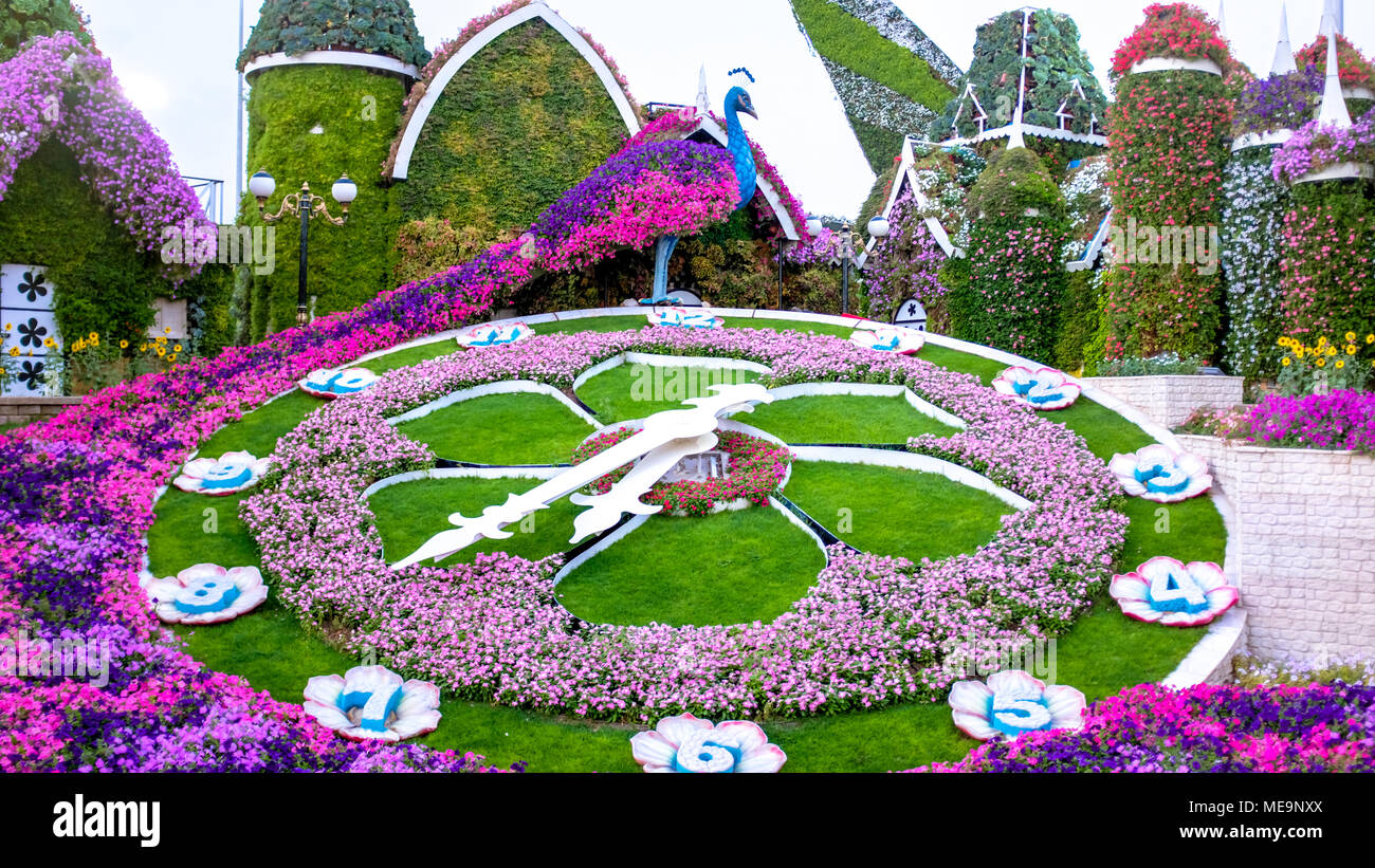 Beautiful colorful flowers in clock shape Stock Photo - Alamy