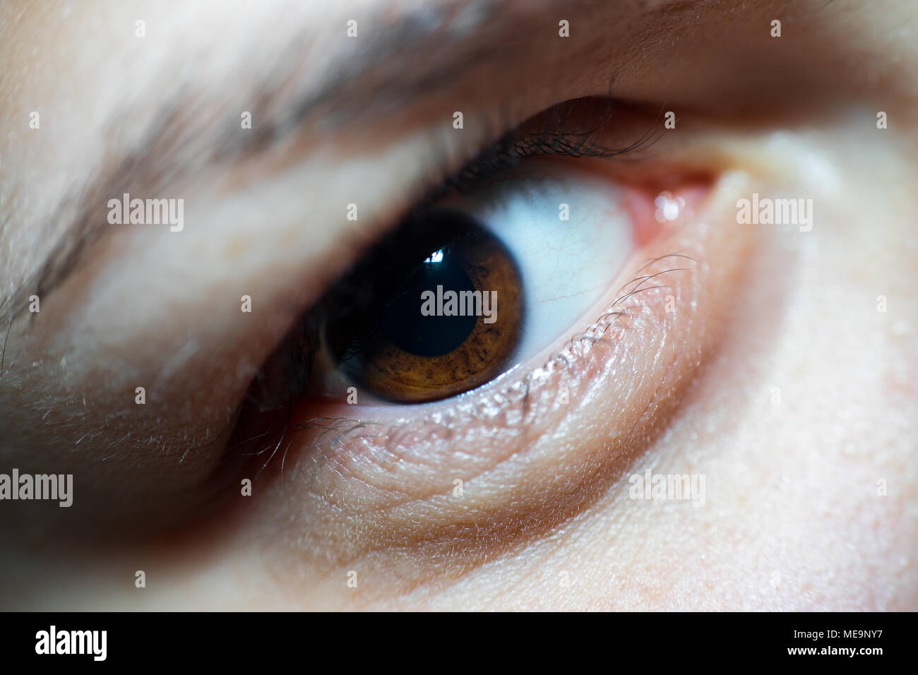 Close-Up Of Beautiful Brown Woman Eye With Long Eyelashes And Makeup ...