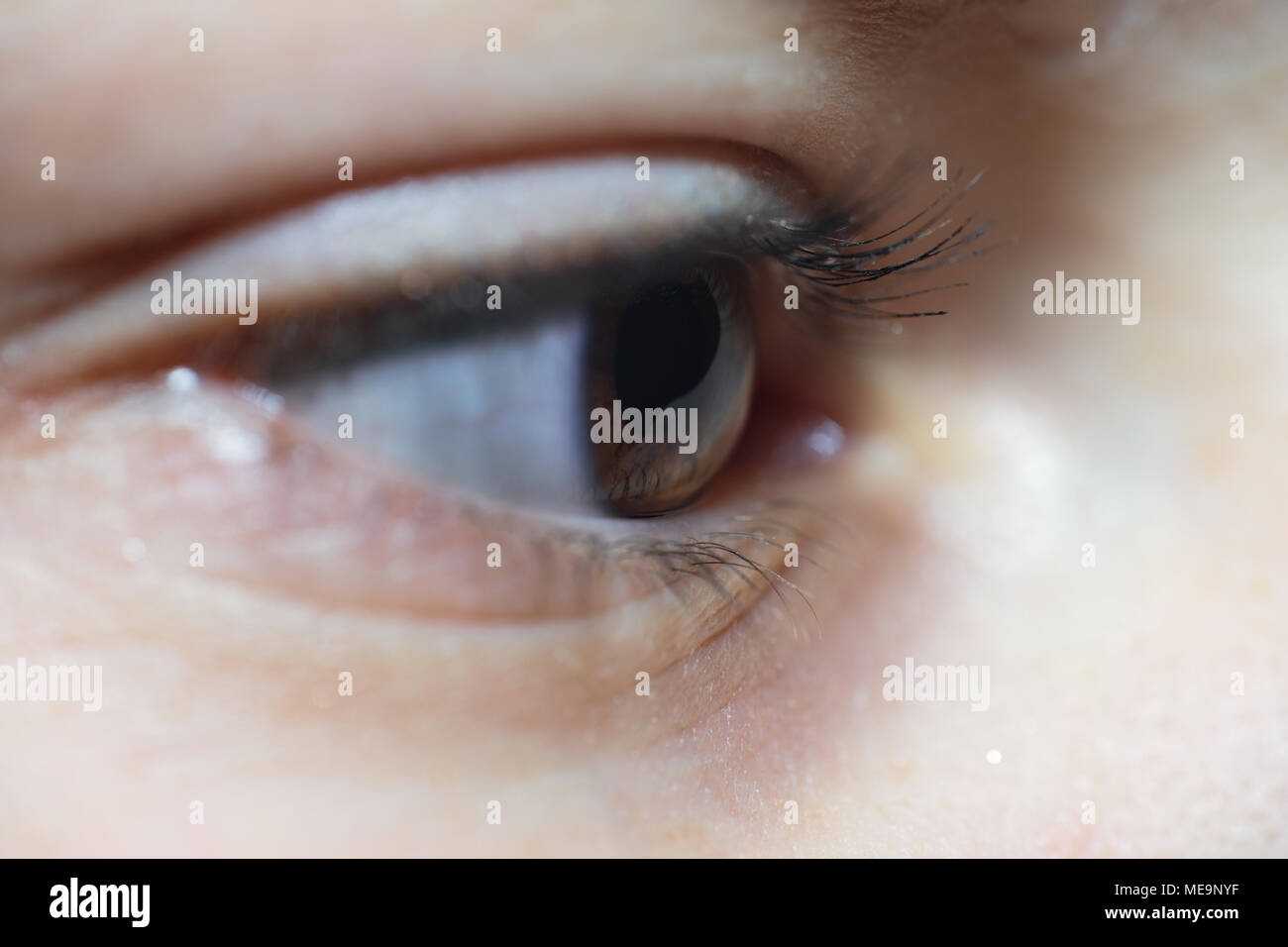 Beautiful Brown Female Eye With Long Eyelashes Looking Away Stock Photo ...