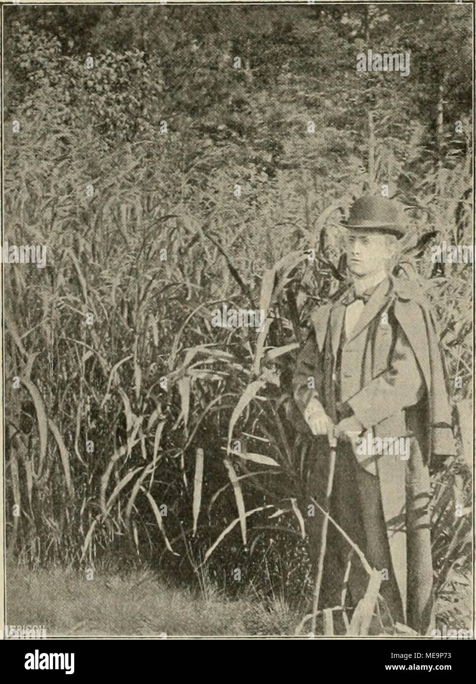 Nanismus hi-res stock photography and images - Alamy