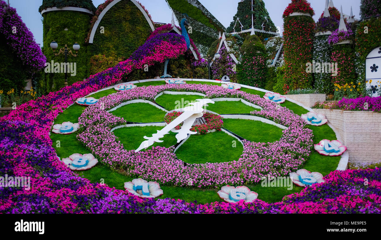 Beautiful colorful flowers in clock shape Stock Photo - Alamy