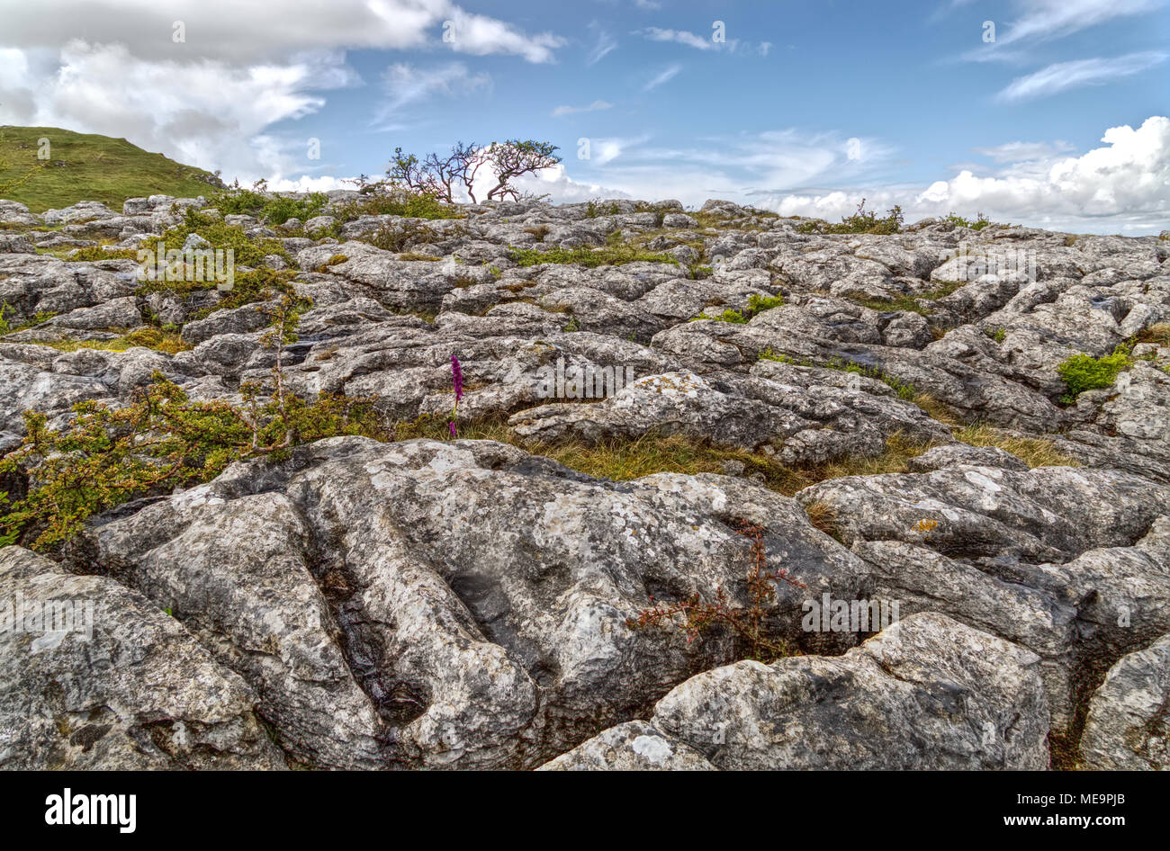 Limestone Pavement in The Clwydian Range Stock Photo - Alamy