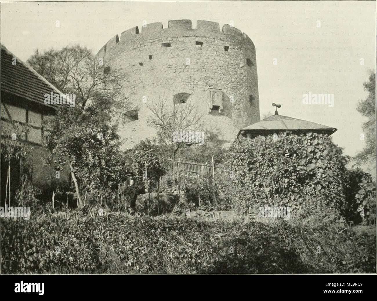 Der alte fuchs hi-res stock photography and images - Alamy