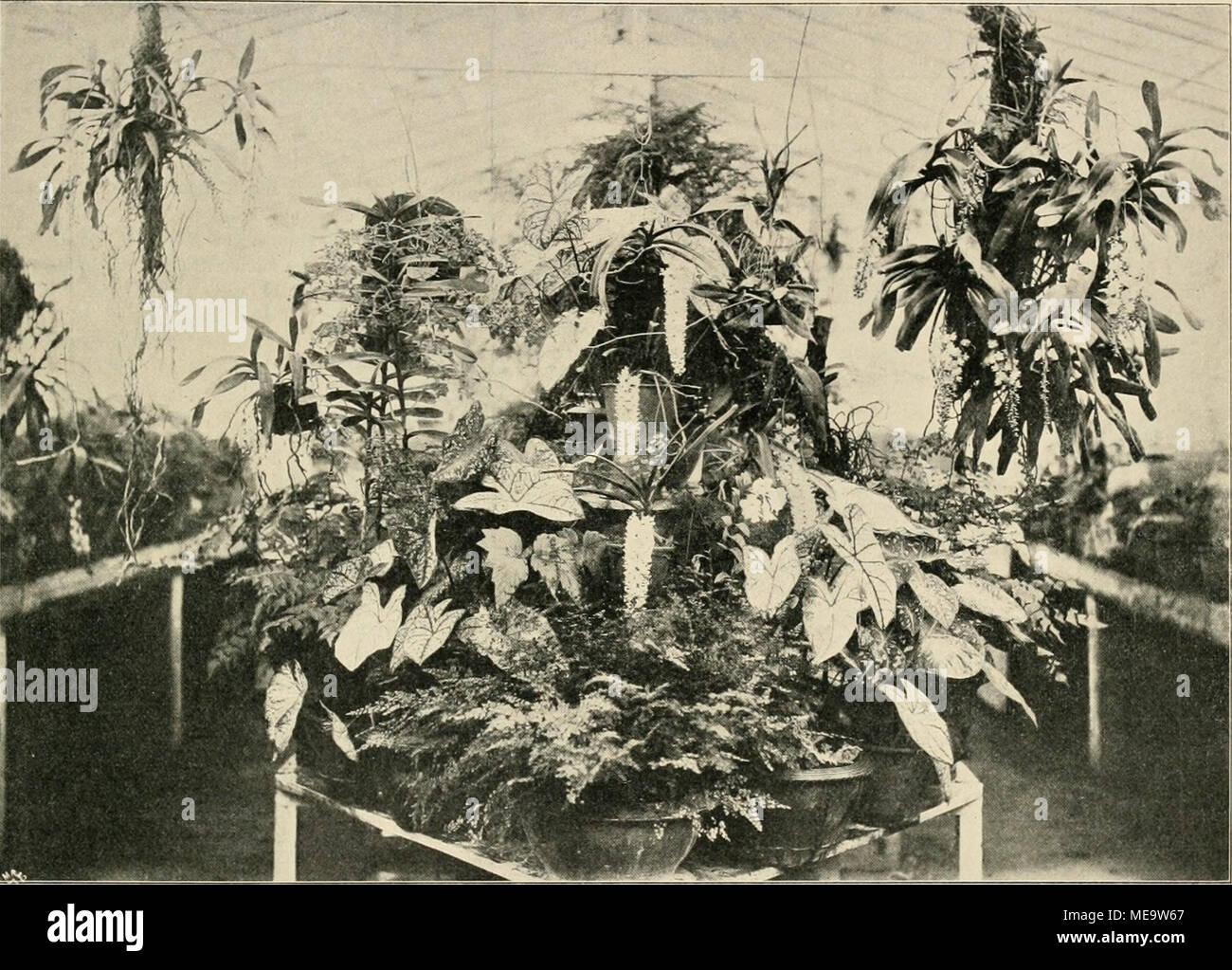 Kann krankheit sein hi-res stock photography and images - Alamy