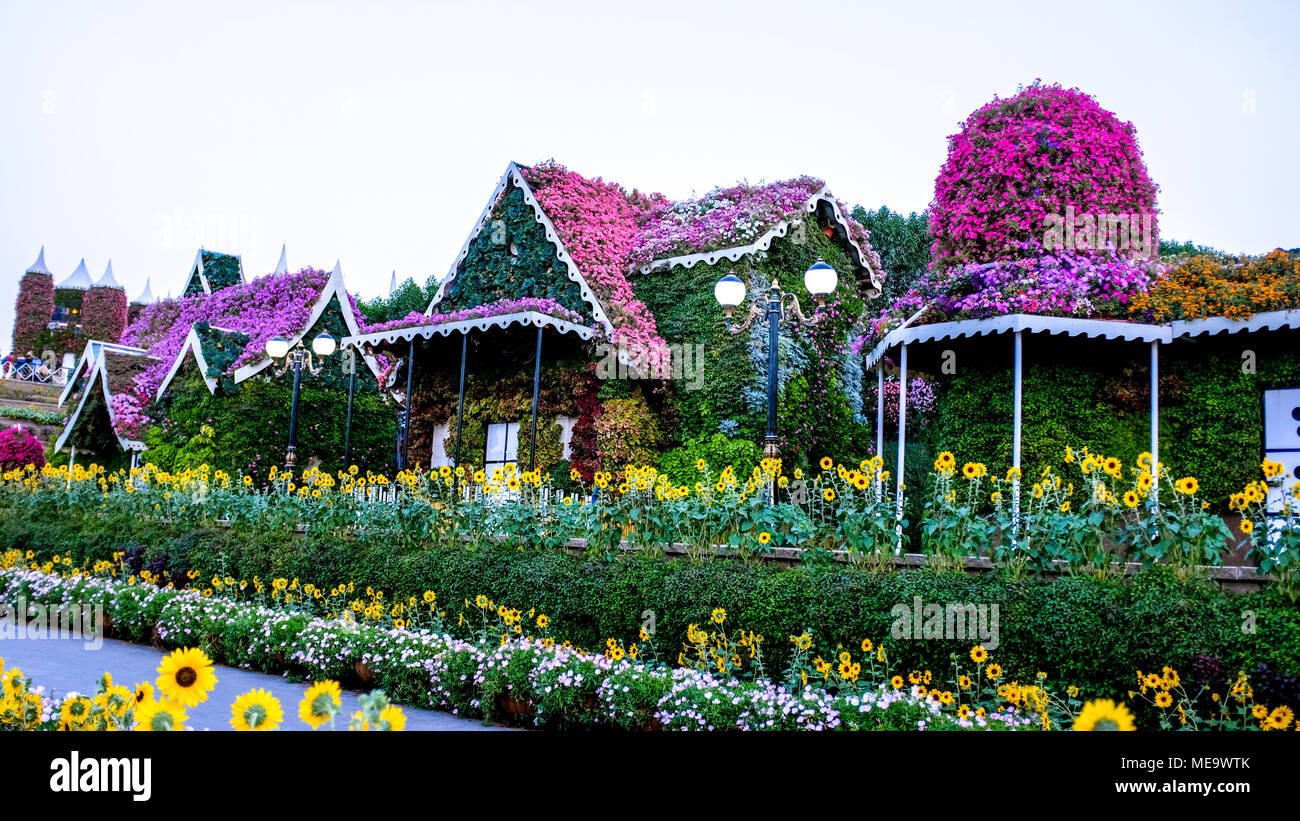 Beautiful houses covered with colorful flowers Stock Photo - Alamy