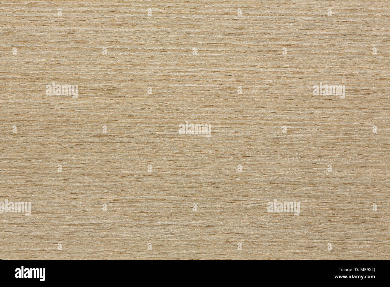 Natural beige oak veneer texture for your image Stock Photo - Alamy
