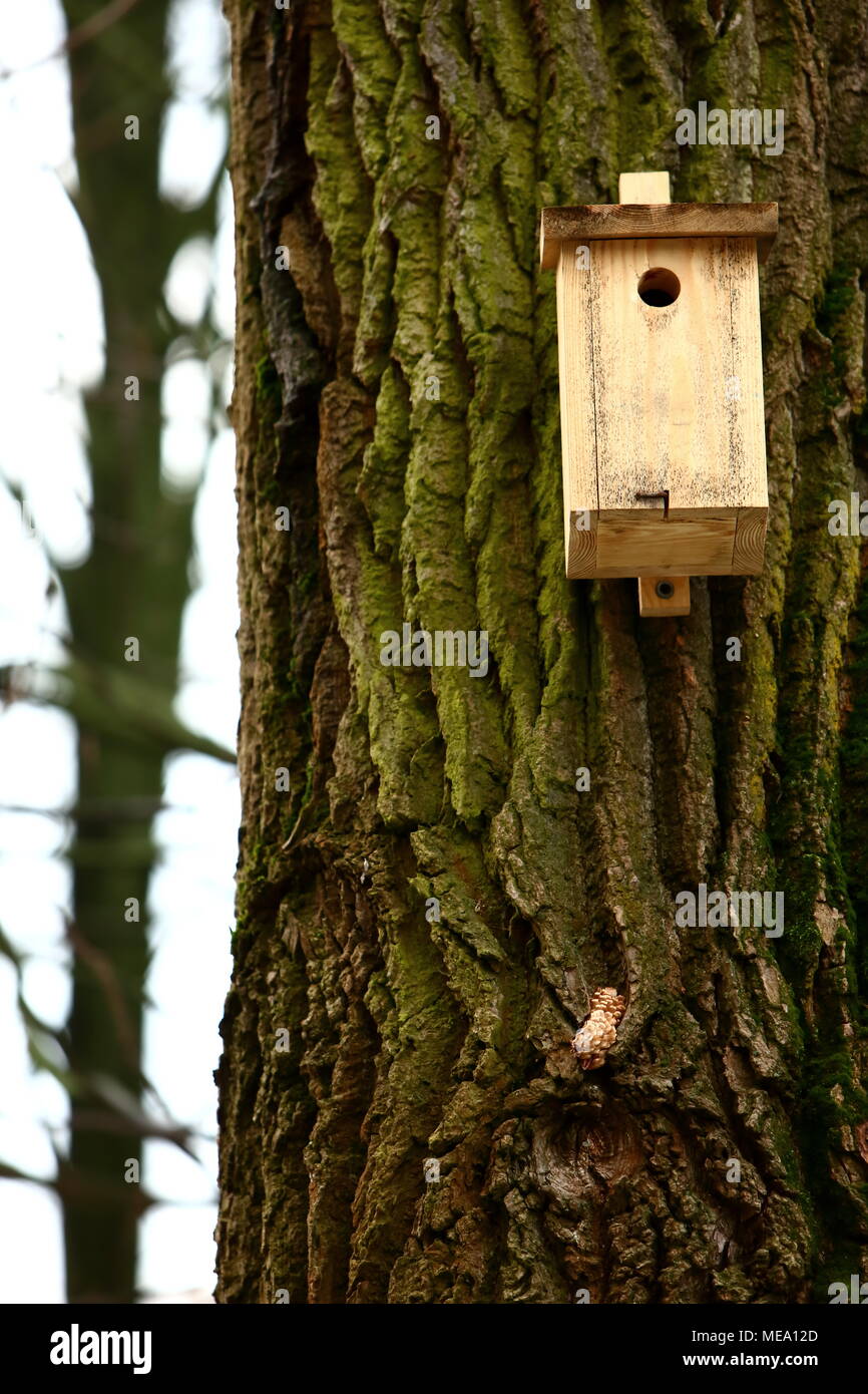 A breeding box made by people and hanged on a tree to help birds ...