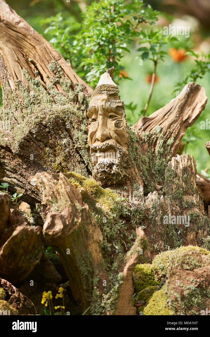 Green Man Faces in a stumpery Stock Photo - Alamy