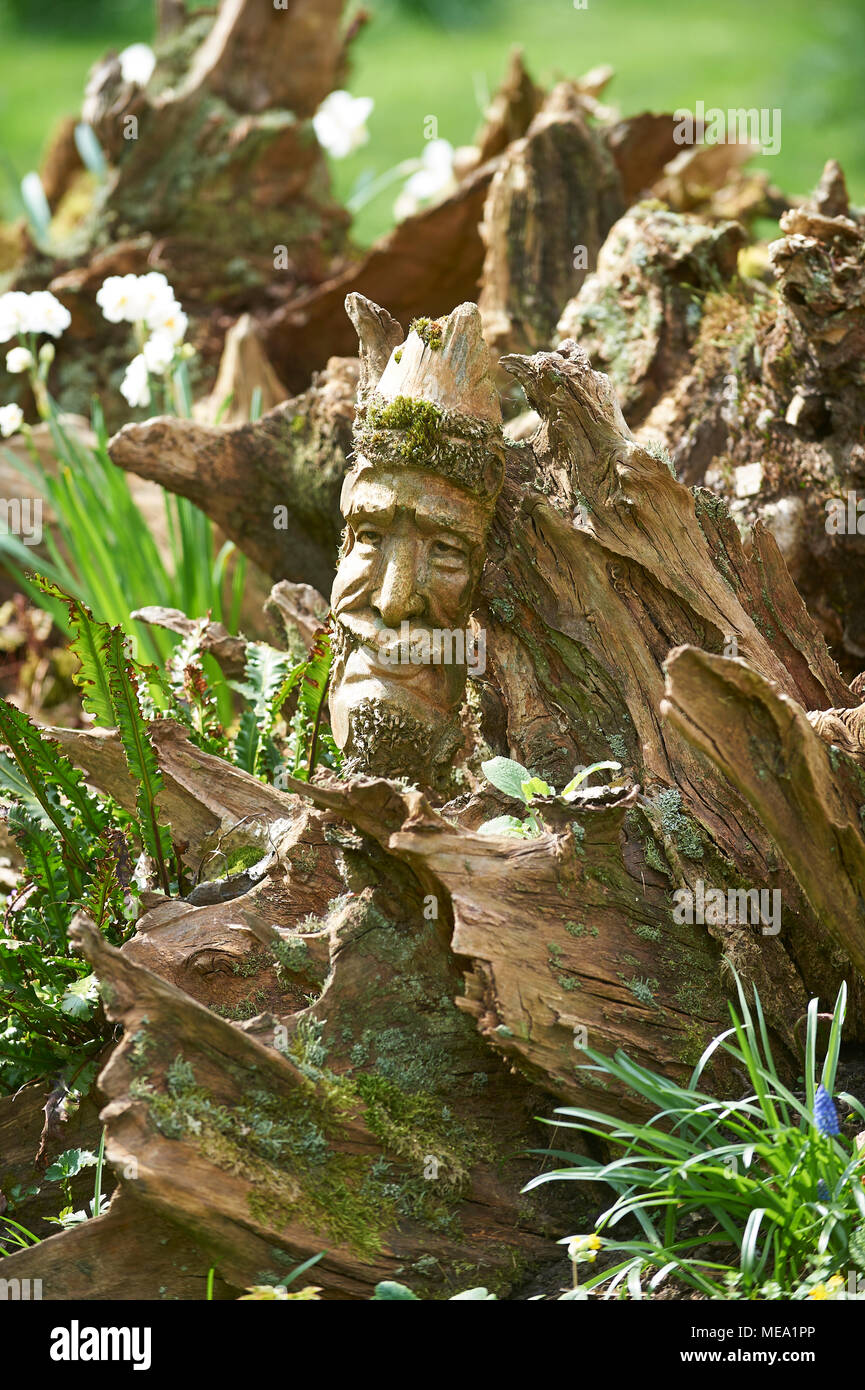 Stumpery hi-res stock photography and images - Alamy