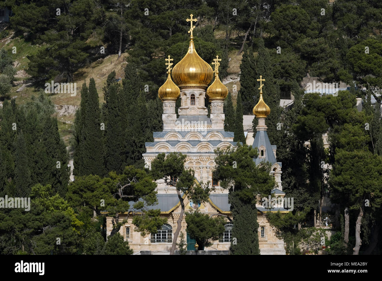 The gilded onion domes of the Russian Orthodox Convent and Church of ...