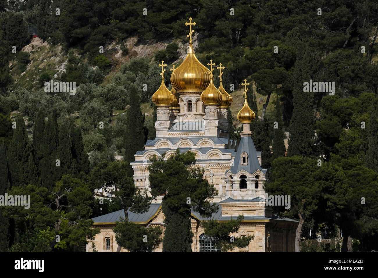 The gilded onion domes of the Russian Orthodox Convent and Church of ...