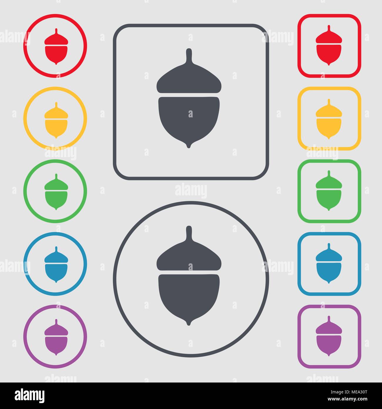 Acorn icon sign. symbol on the Round and square buttons with frame ...
