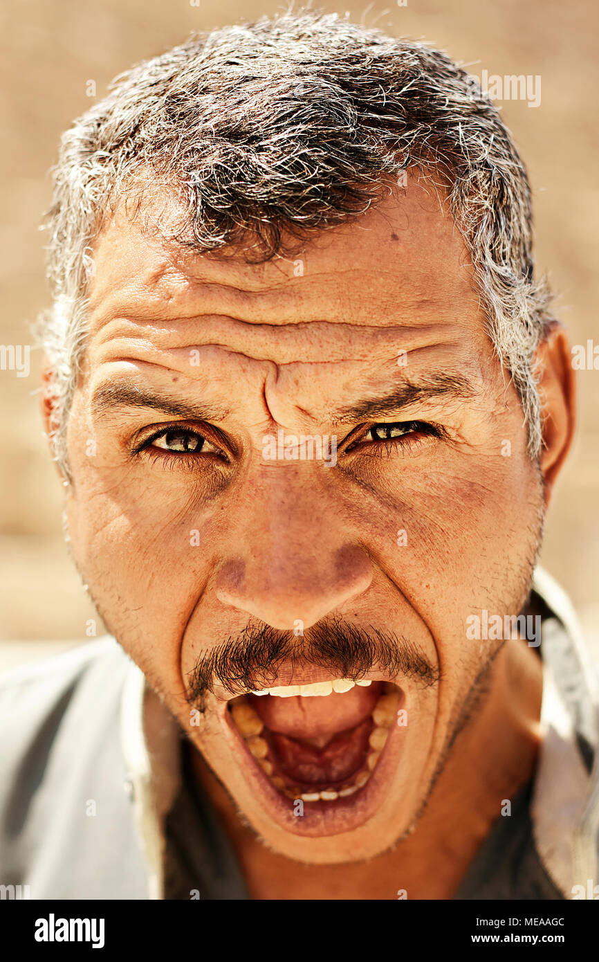 Screaming camel hi-res stock photography and images - Alamy