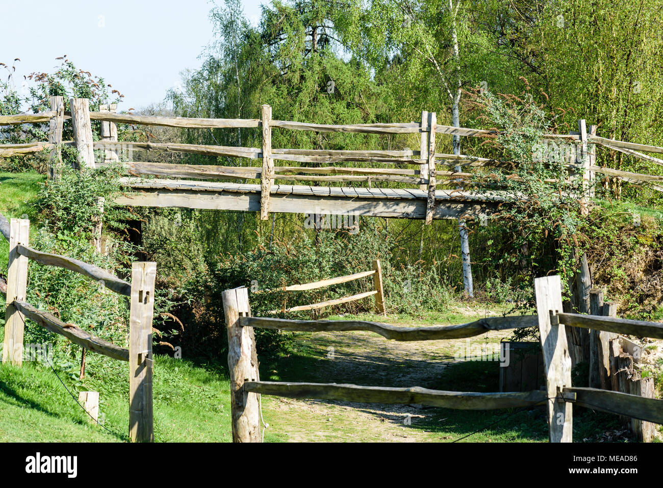 Man made timber bridge hi-res stock photography and images - Alamy