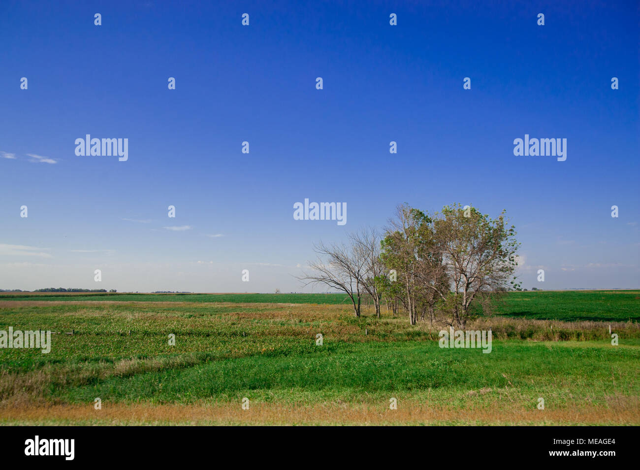 Landscape of the country side in America. America is a continent where ...