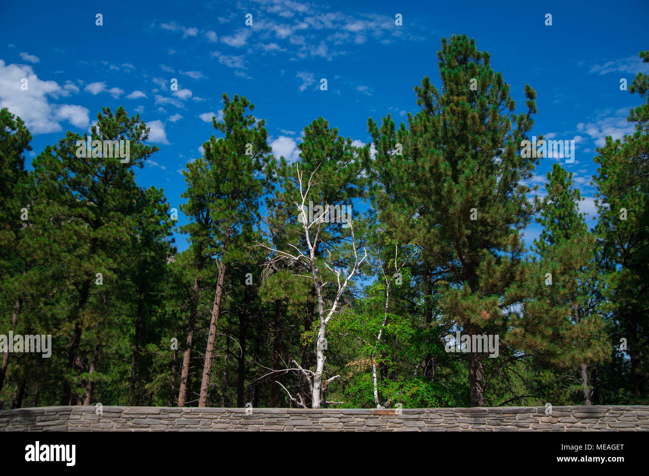 Landscape of the country side in America. America is a continent where ...