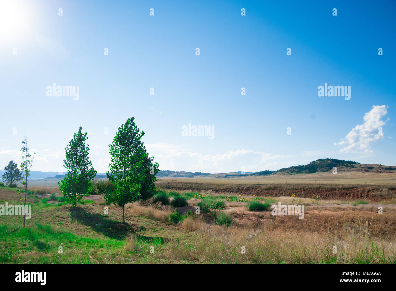 Landscape of the country side in America. America is a continent where ...