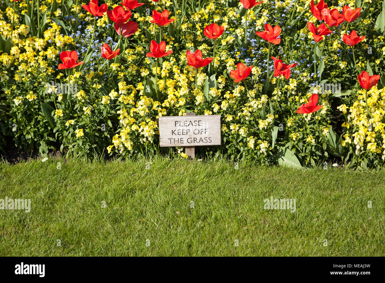 Please do not touch the flowers hi-res stock photography and images - Alamy