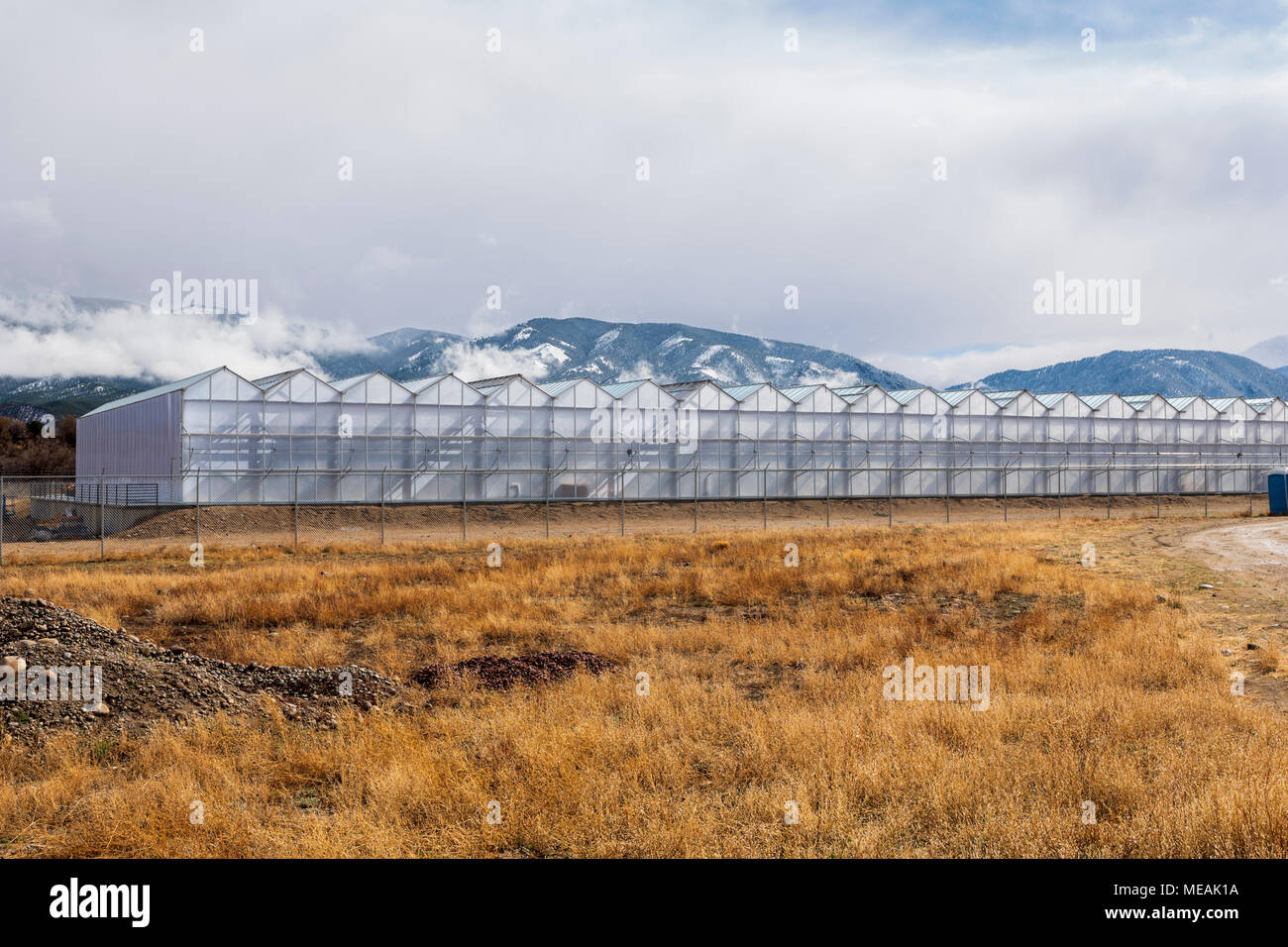 Marijuana greenhouses hi-res stock photography and images - Alamy