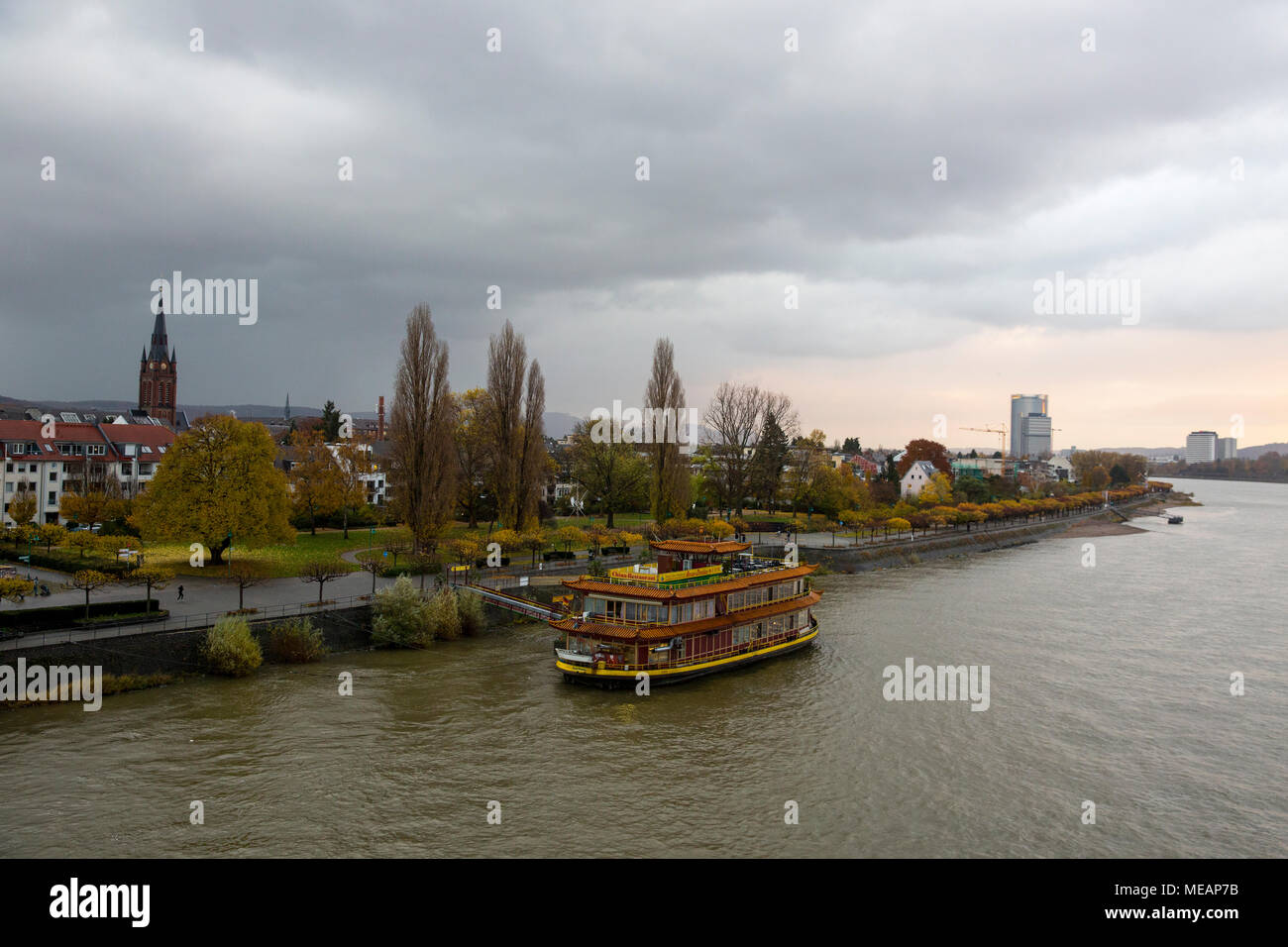 Colorful leaves on trees in autumn on the bank of Rhine River at Bonn ...