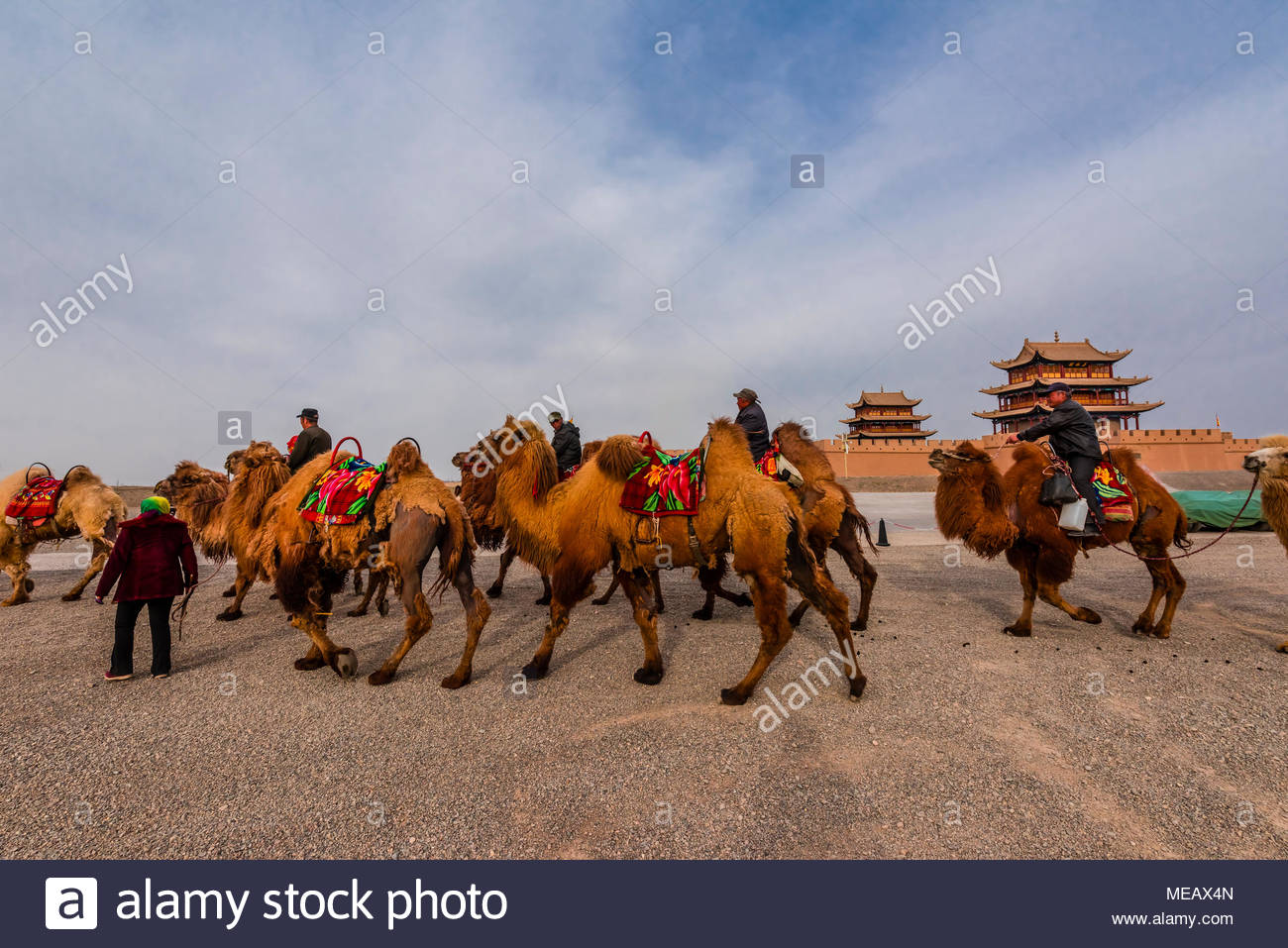 Silk Road Caravan Stock Photos & Silk Road Caravan Stock Images - Alamy