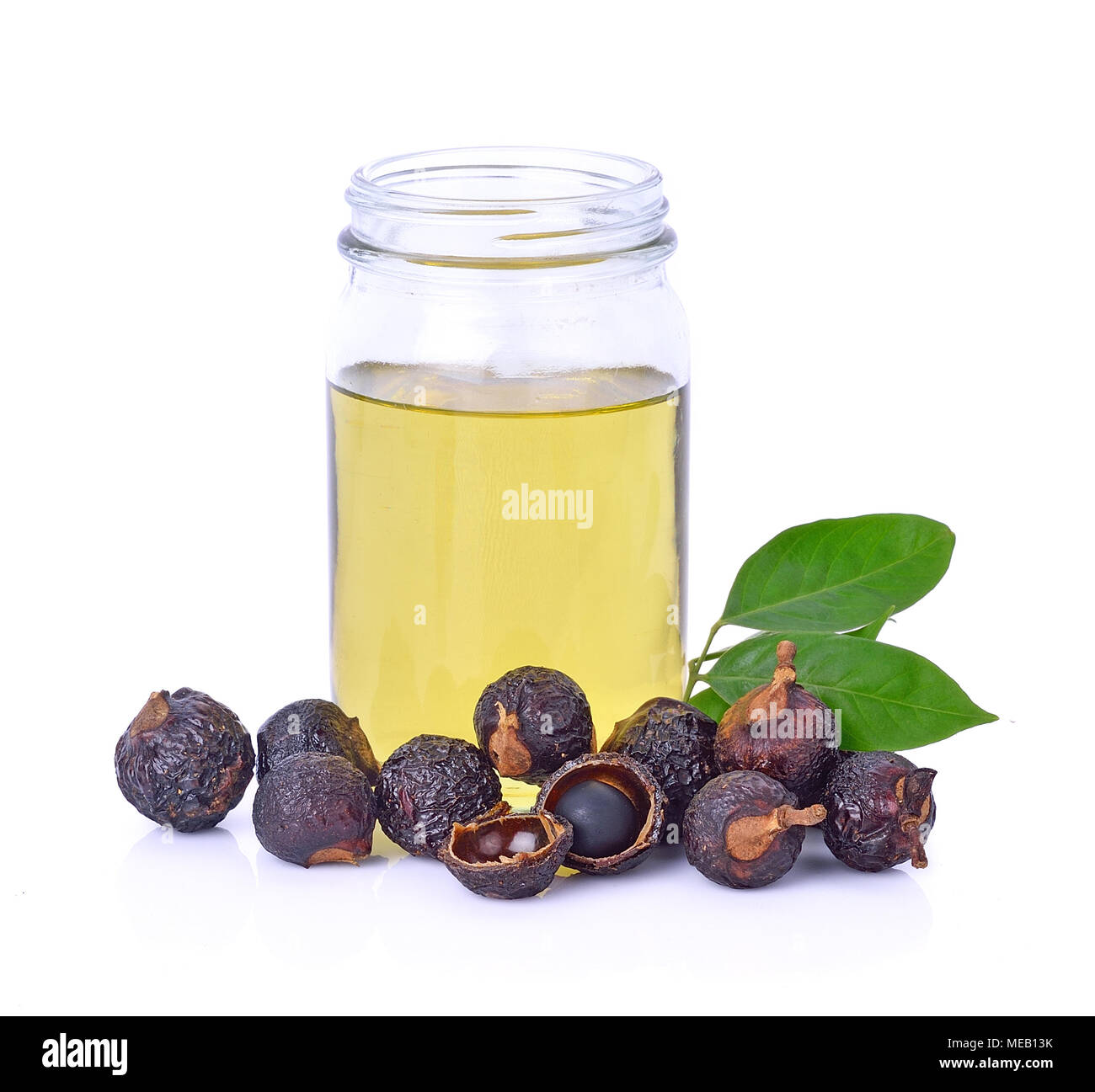 Soap nut tree isolated on white background Stock Photo - Alamy