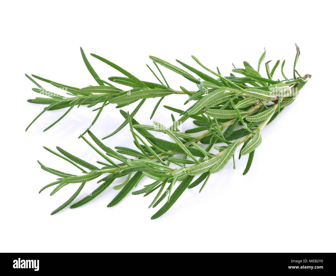 Rosemary on white background Stock Photo - Alamy