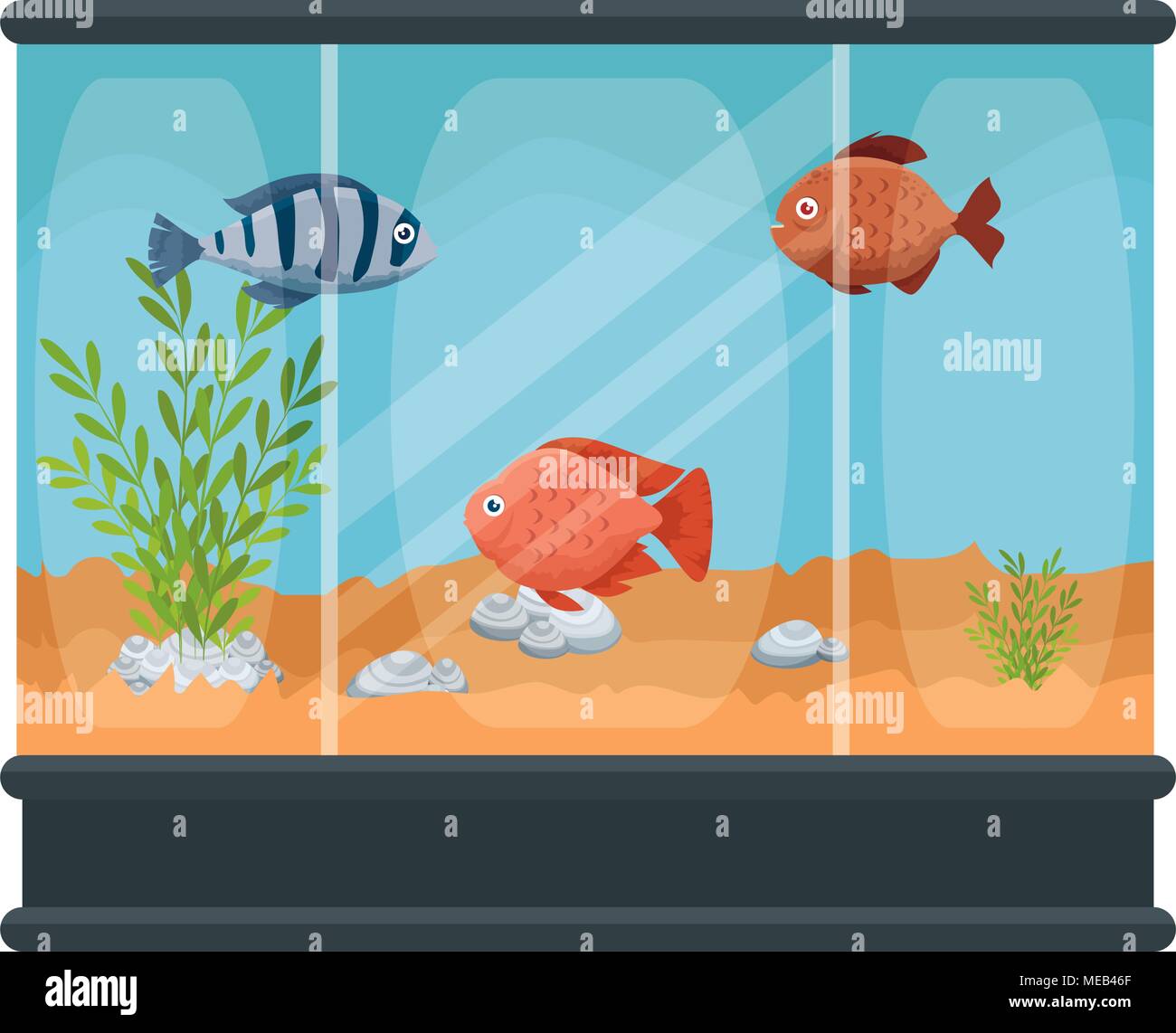 square aquarium with colors fish Stock Vector Image & Art - Alamy