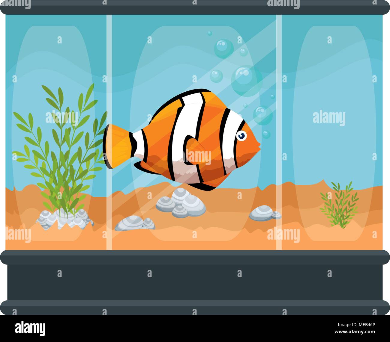 square aquarium with colors fish Stock Vector Image & Art - Alamy
