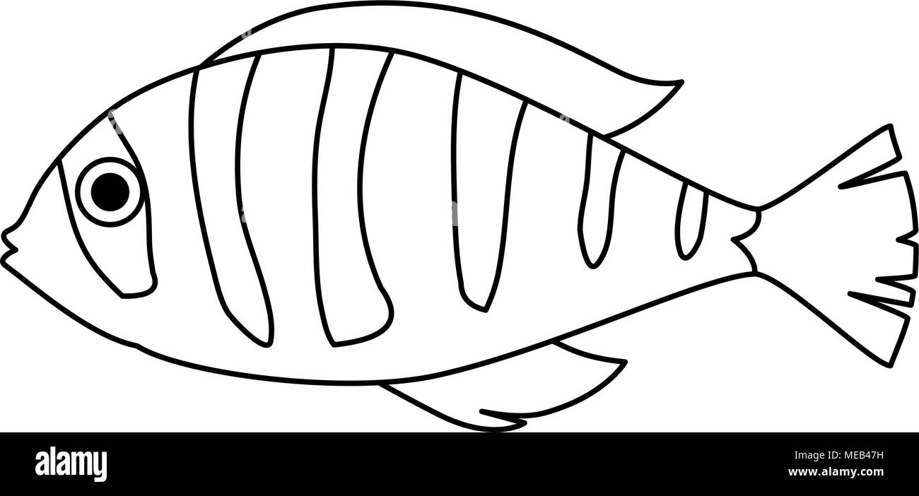 cute ornamental fish icon Stock Vector Image & Art - Alamy