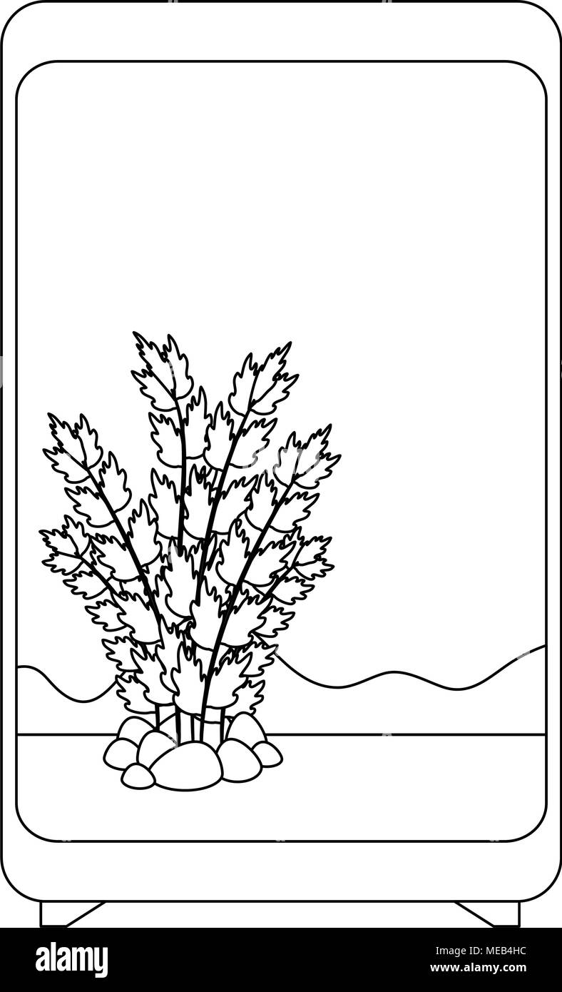 rectangular aquarium without fish icon Stock Vector Image & Art - Alamy