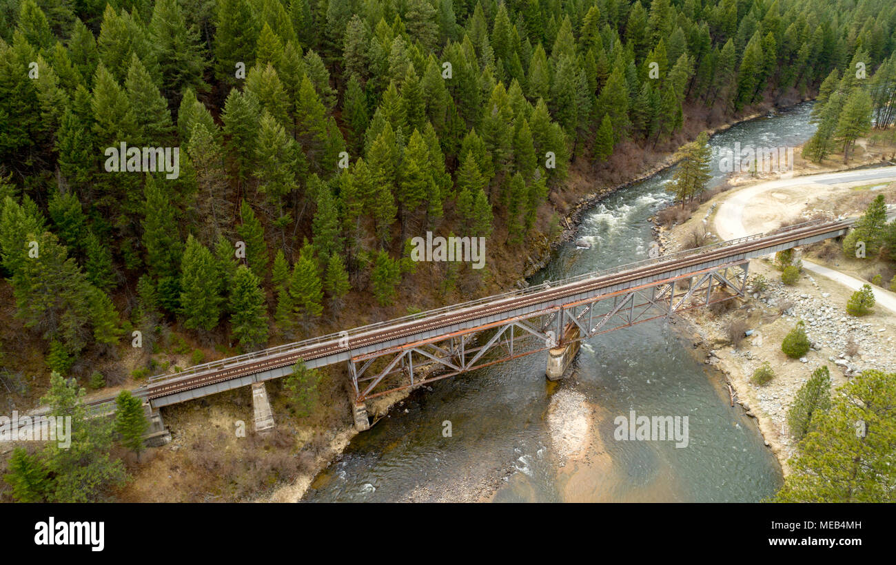 Pine tree forest surrounds hi-res stock photography and images - Alamy