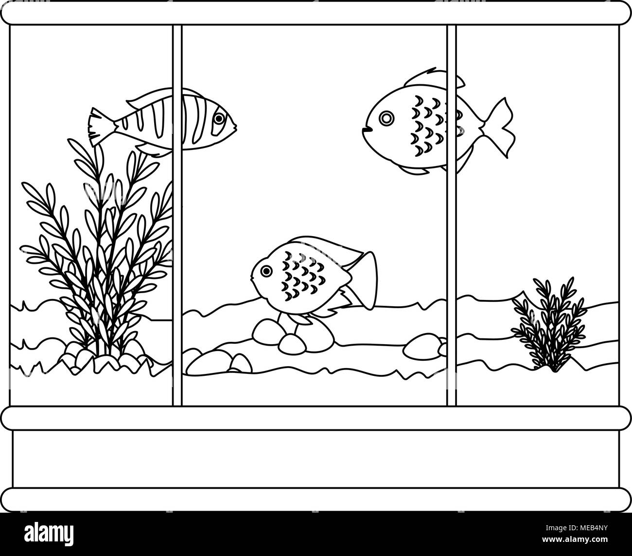 square aquarium with colors fish Stock Vector Image & Art - Alamy